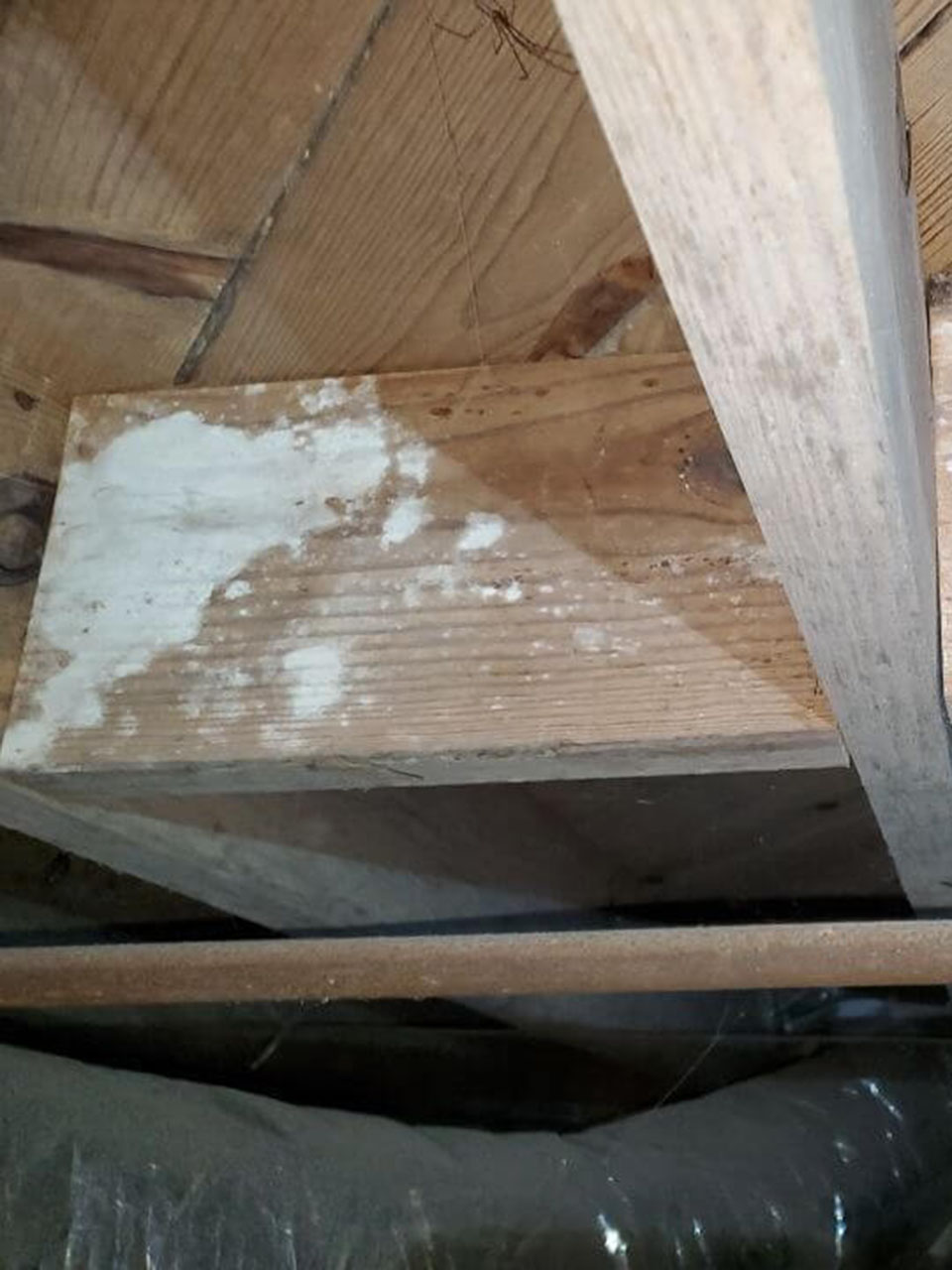 Crawl Space Encapsulation Landing Page - Anchored Walls